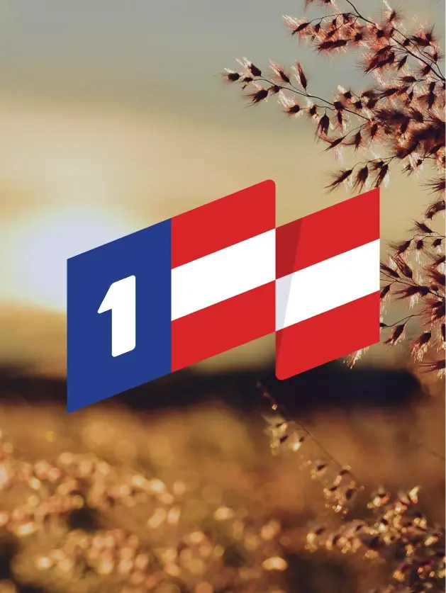 Local Bank Brand Refresh - One American Bank